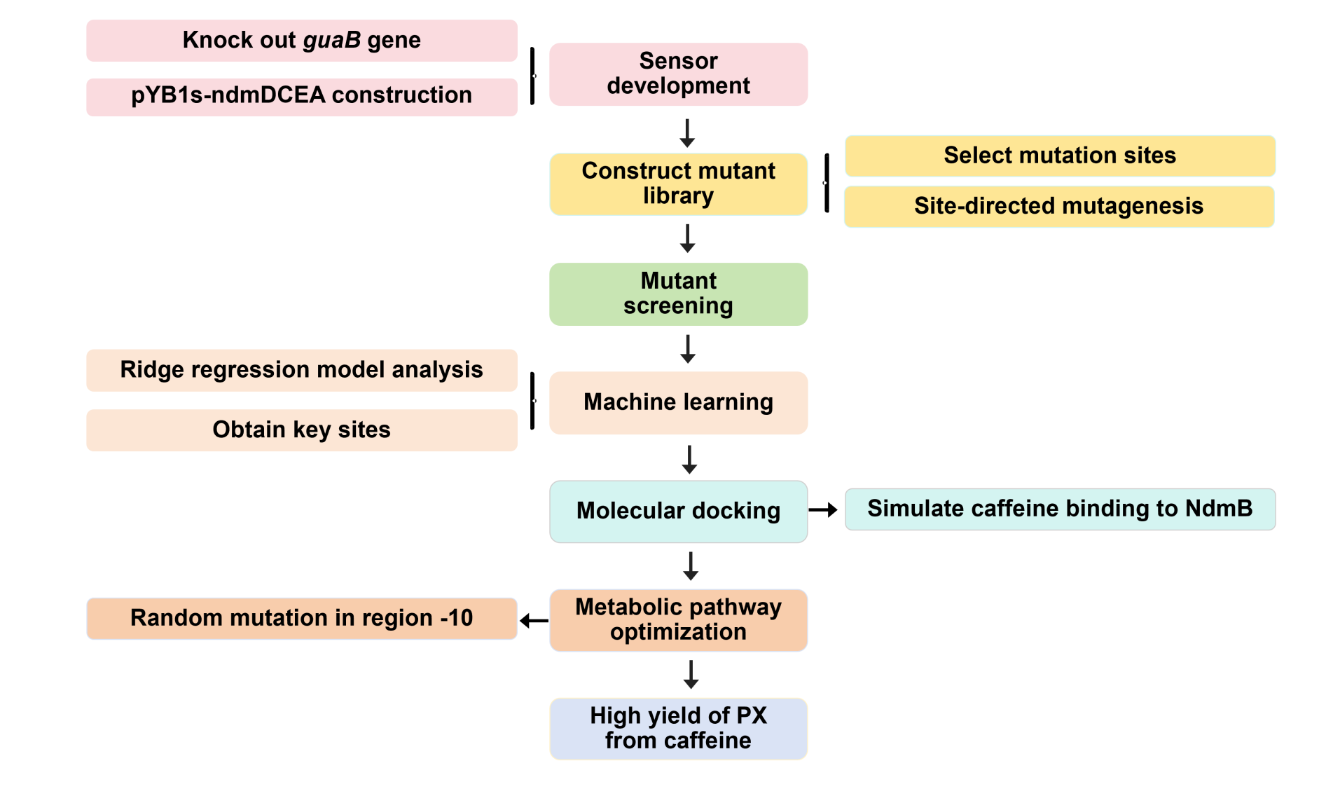 iDEC NEFU_China 2024
