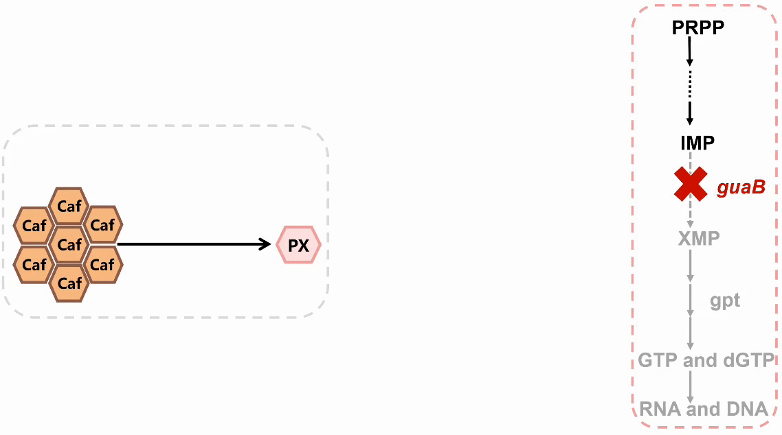 iDEC NEFU_China 2024