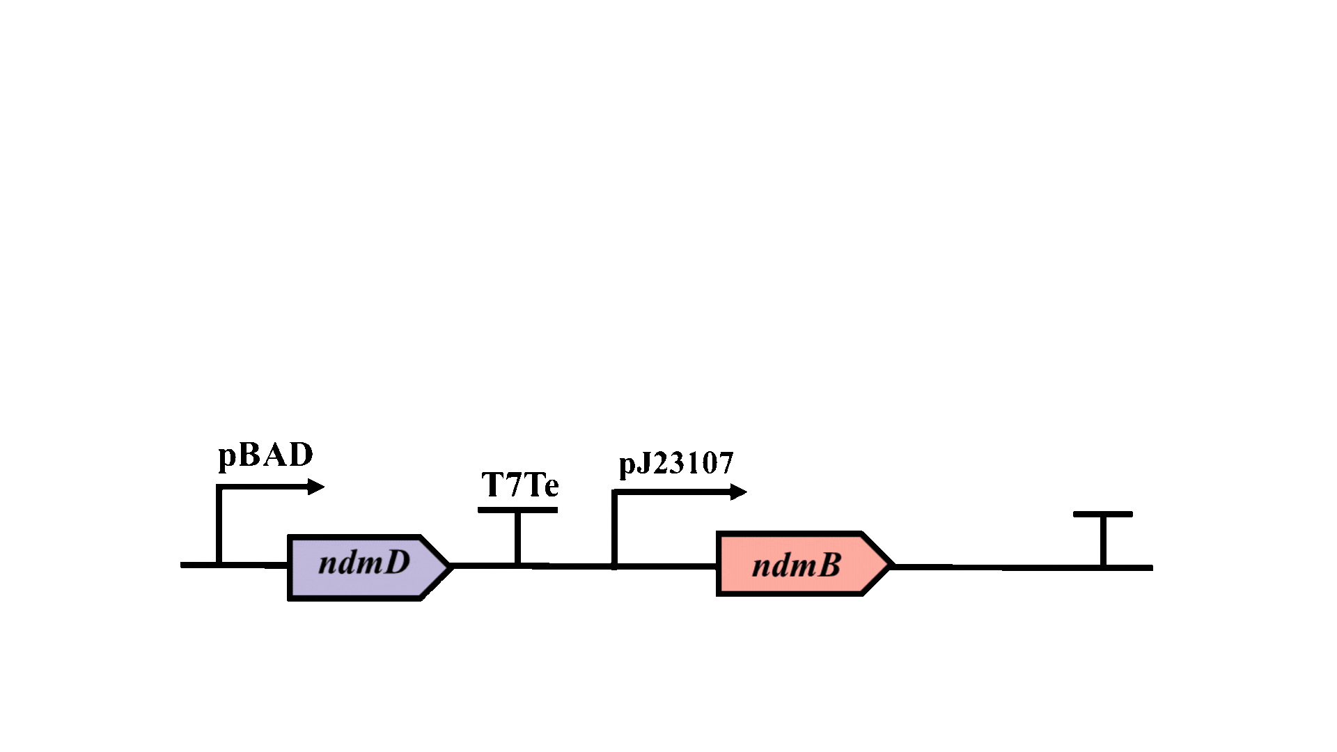 iDEC NEFU_China 2024