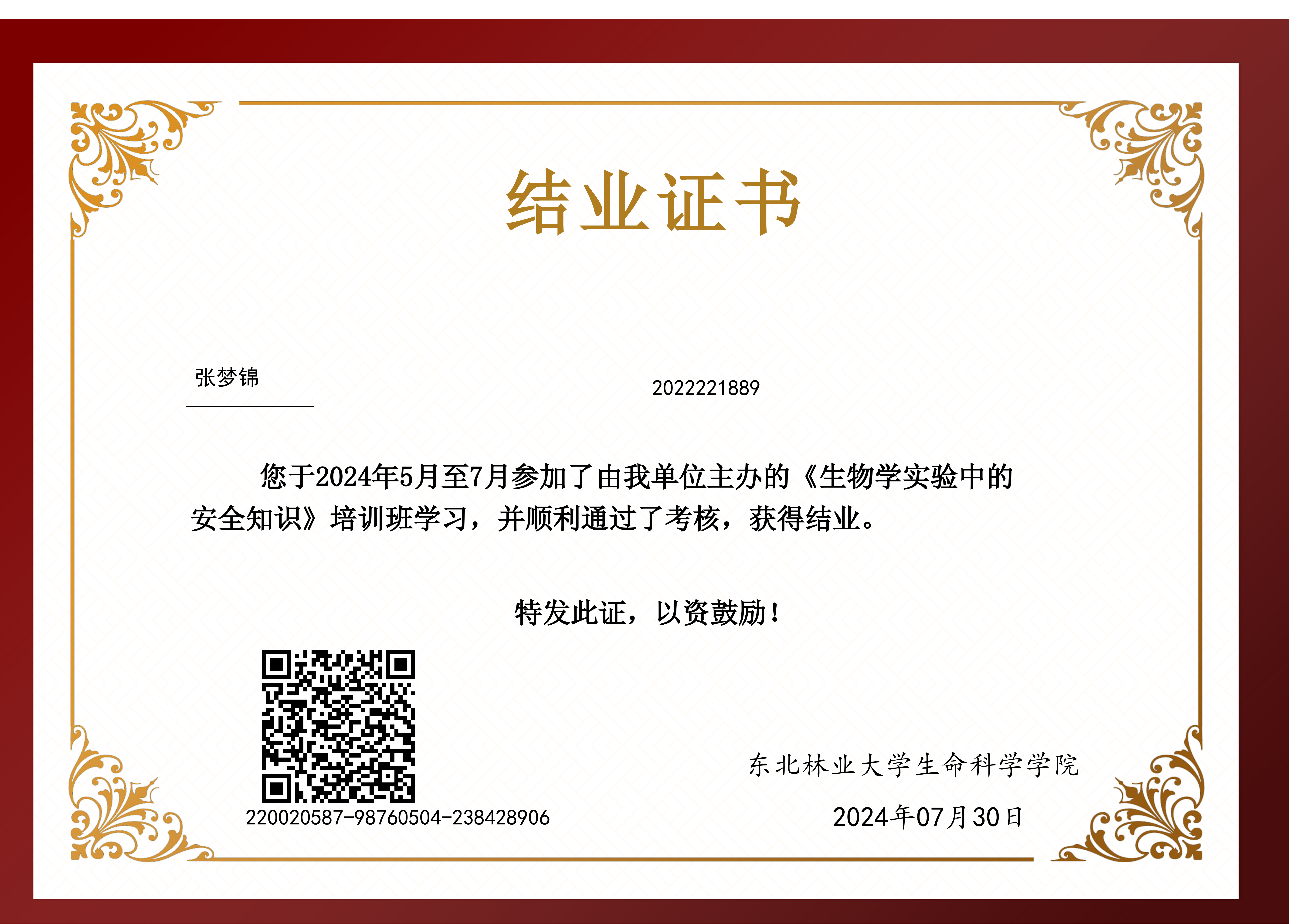 iDEC NEFU_China 2024