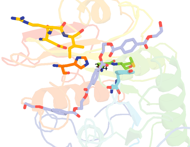 Steps and Significance of Observing Structures Using PyMOL
