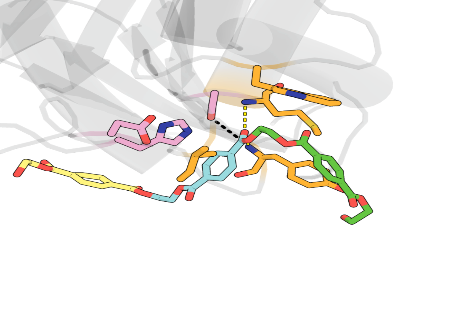Protein structure data acquisition & preprocessing